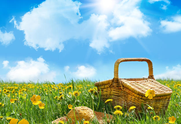 Repas champêtre du 14 juillet